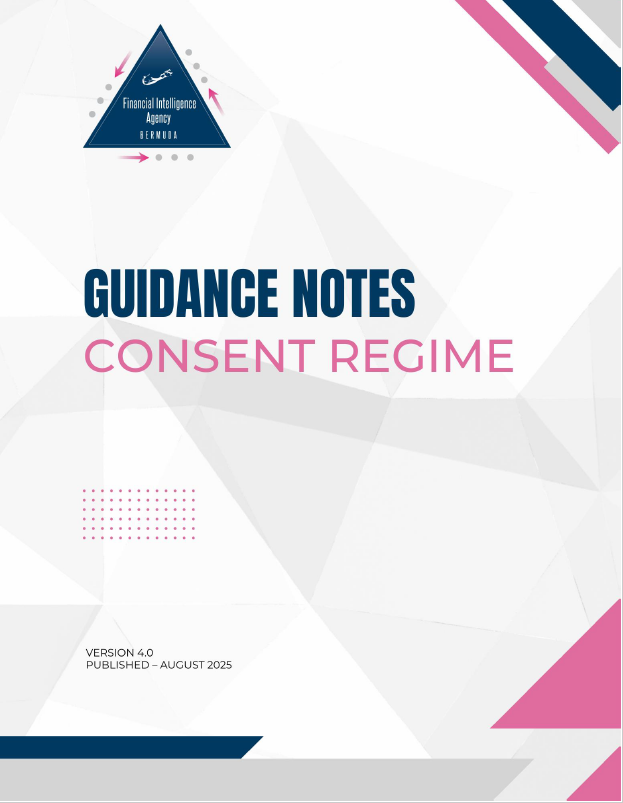 Guidance Notes - FIA